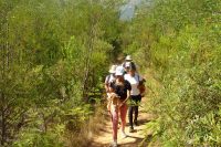 The Imibala Trust - Non Profit Organisation - Somerset West, Cape Town