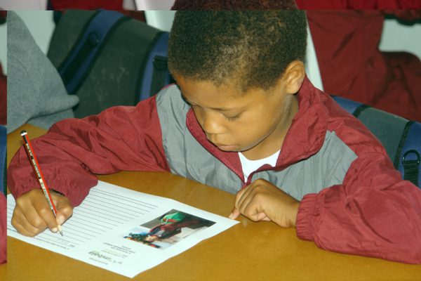 The Imibala Trust - Non Profit Organisation - Somerset West, Cape Town