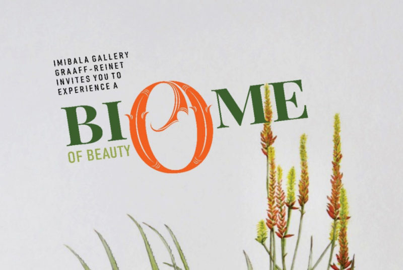 The Imibala Trust - Non Profit Organisation - Somerset West, Cape Town